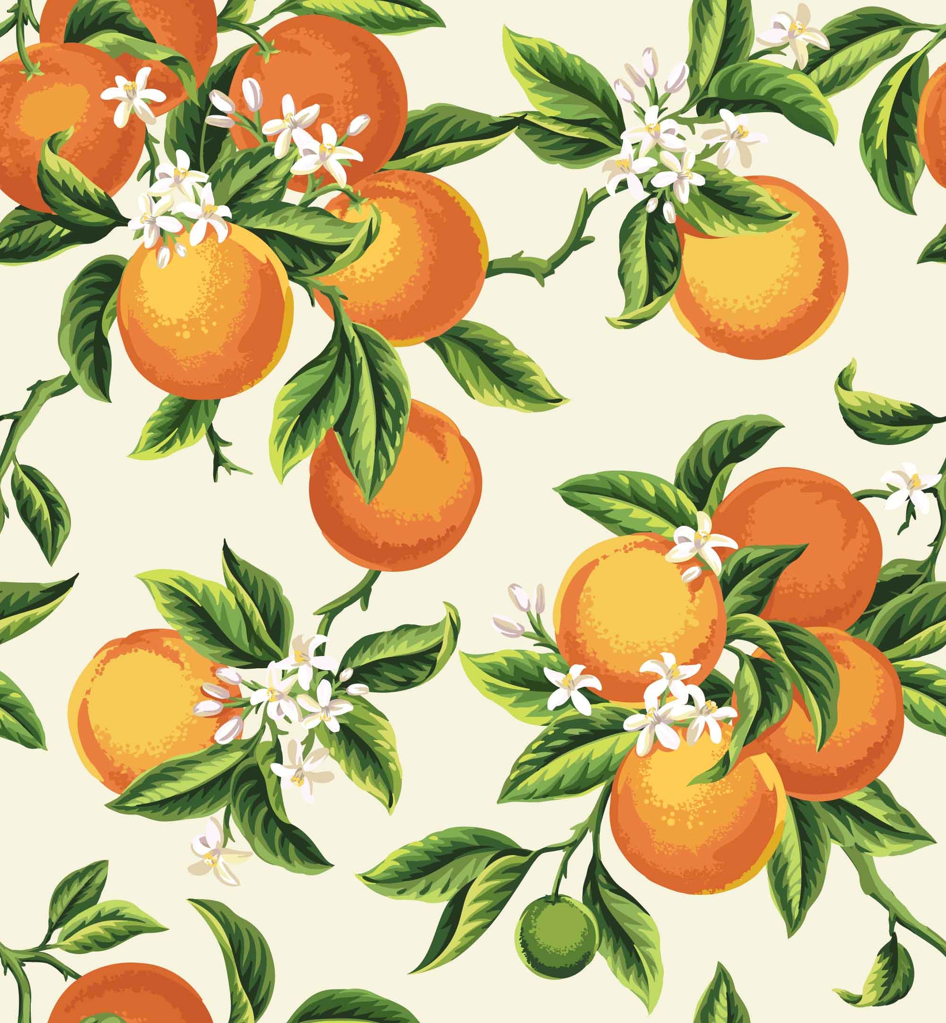 Natural Face Moisturizers | Face Care | Rafa Natural